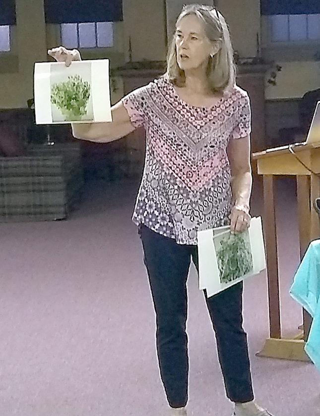 Garden Club learns about growth and care | News, Sports, Jobs - The ...